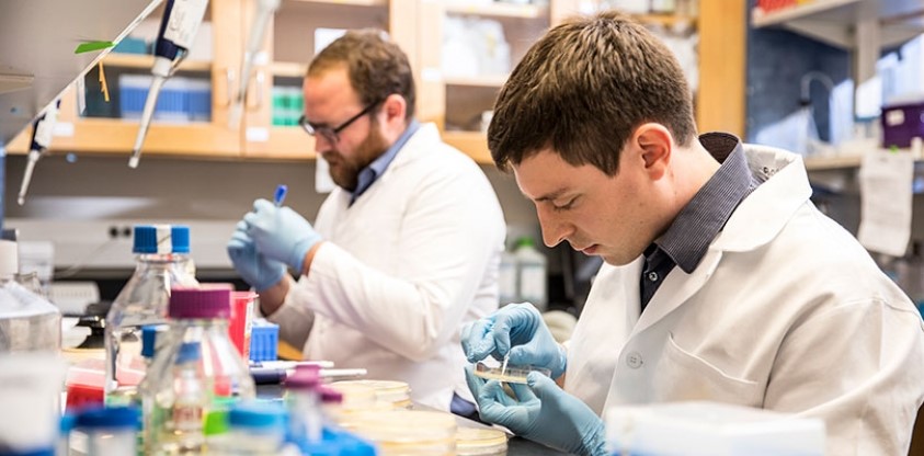 Move Over, Boston and San Francisco? Seattle Tops List of Fastest ...