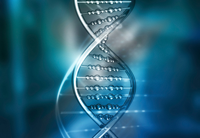 Powerful Protein Design Software Harnesses Board Game-Playing AI | Life ...