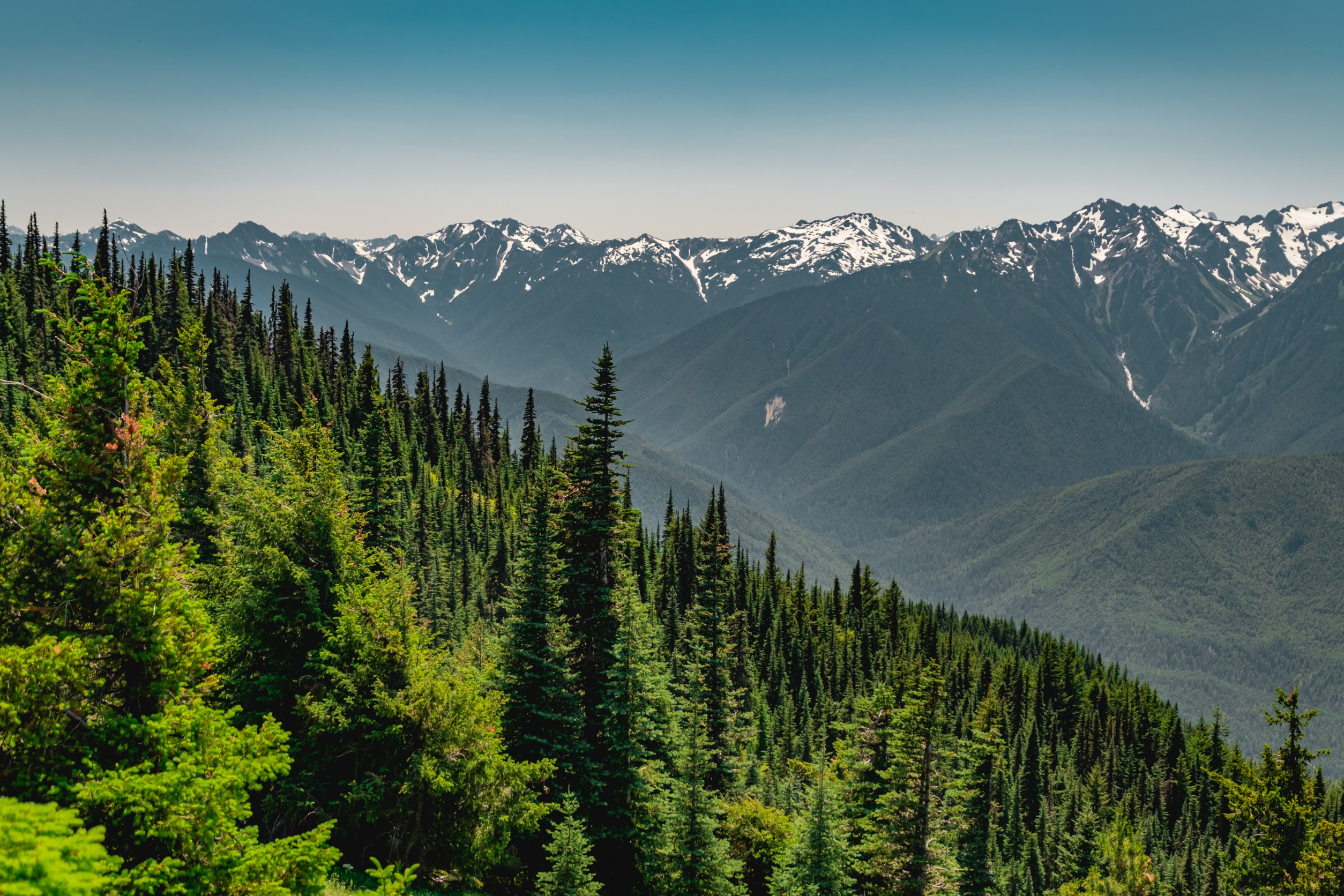 Seattle Ranks Among Top 10 Park Systems in the Country | Life Science ...