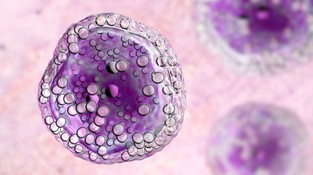 Indapta Therapeutics Awarded $4.5M by CPRIT to Advance Clinical ...