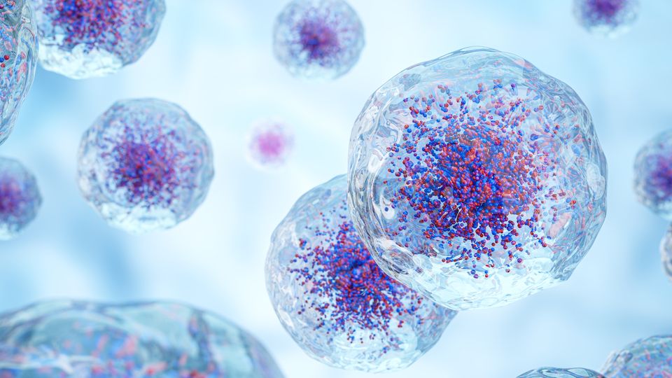 Protein Design Startup Outpace Lands $144M to Test Treatments Targeting ...